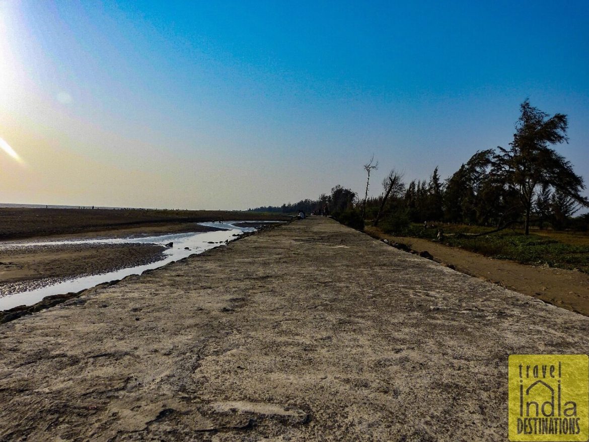 Suruchi Beach: A Day Trip in Vasai - Travel India Destinations