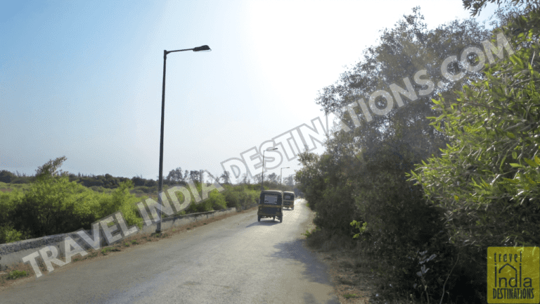 Suruchi Beach Vasai | How to Reach & Best Time to Visit