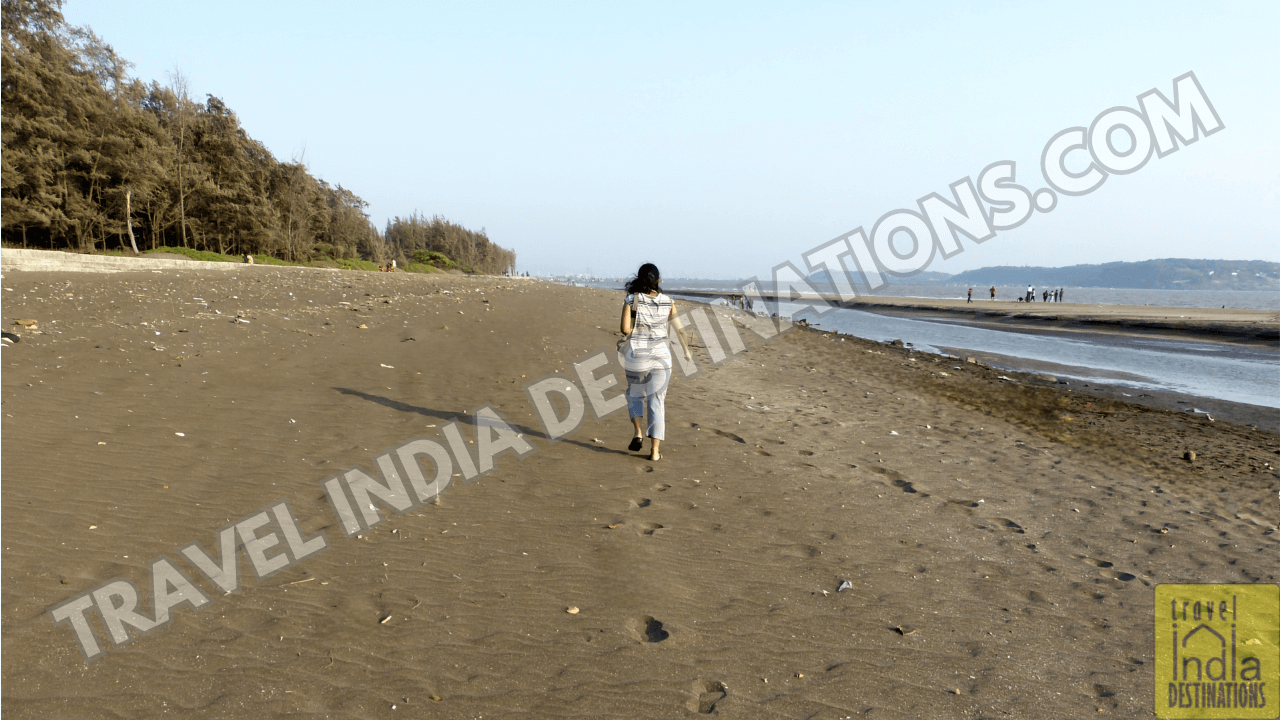 Suruchi Beach Vasai | How to Reach & Best Time to Visit