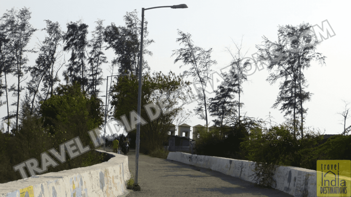 Suruchi Beach Vasai | How to Reach & Best Time to Visit