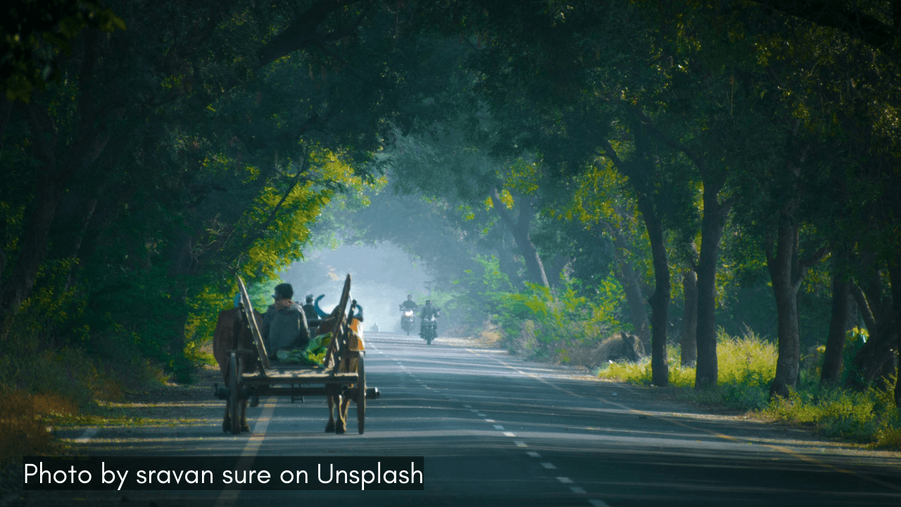 11 Tourist Places in Madhya Pradesh for Monsoon - Travel India Destinations