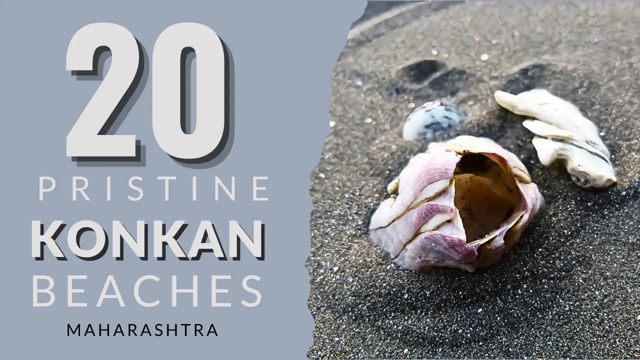 20 Konkan Beaches that Outshine Goa Shores - Travel India Destinations