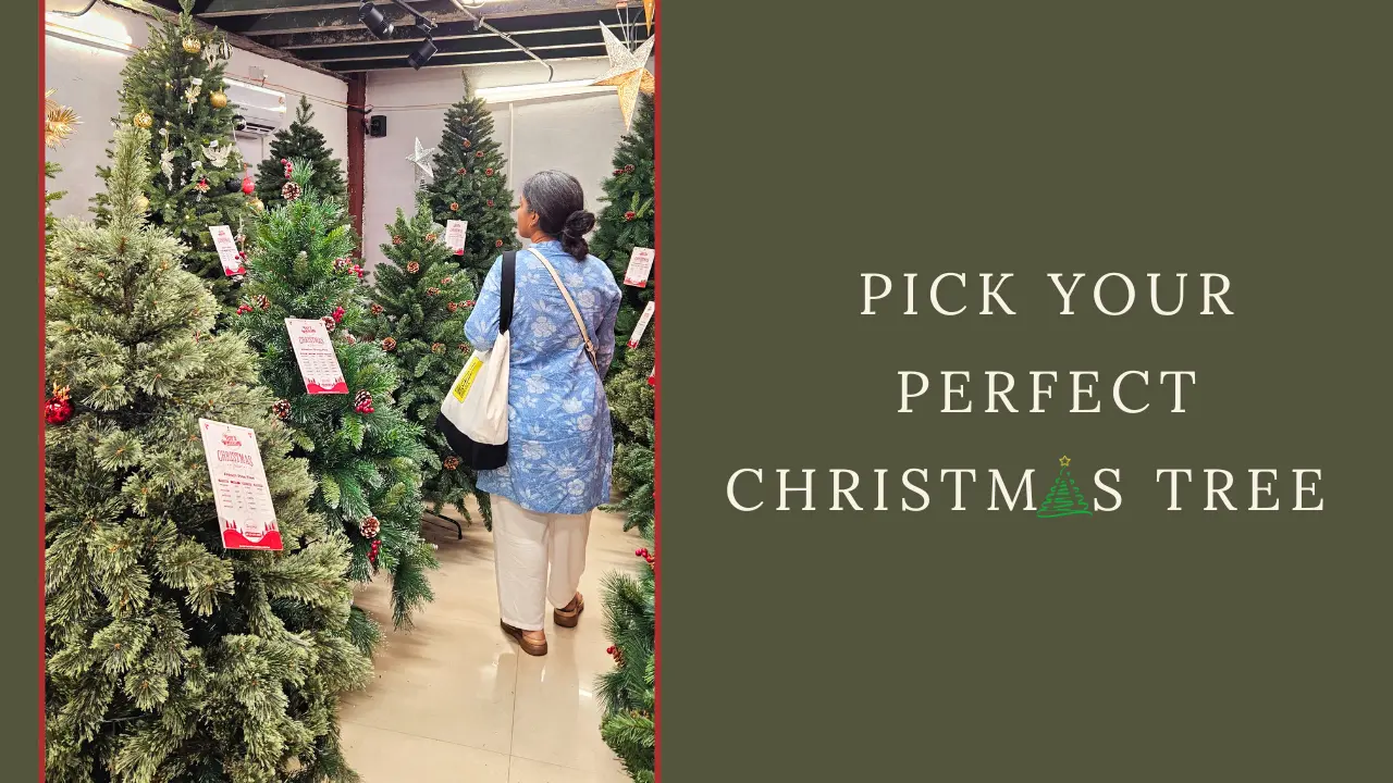 How to Buy the Perfect Christmas Tree in India (2025)